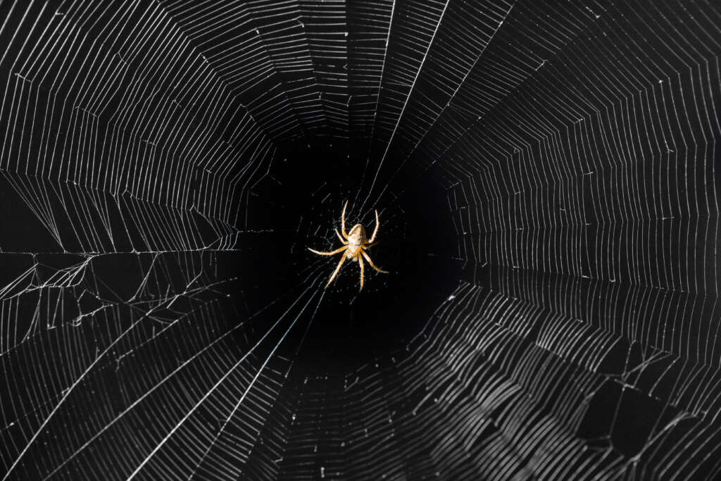 How Accurate Are These Animated Pests? — Part 3
